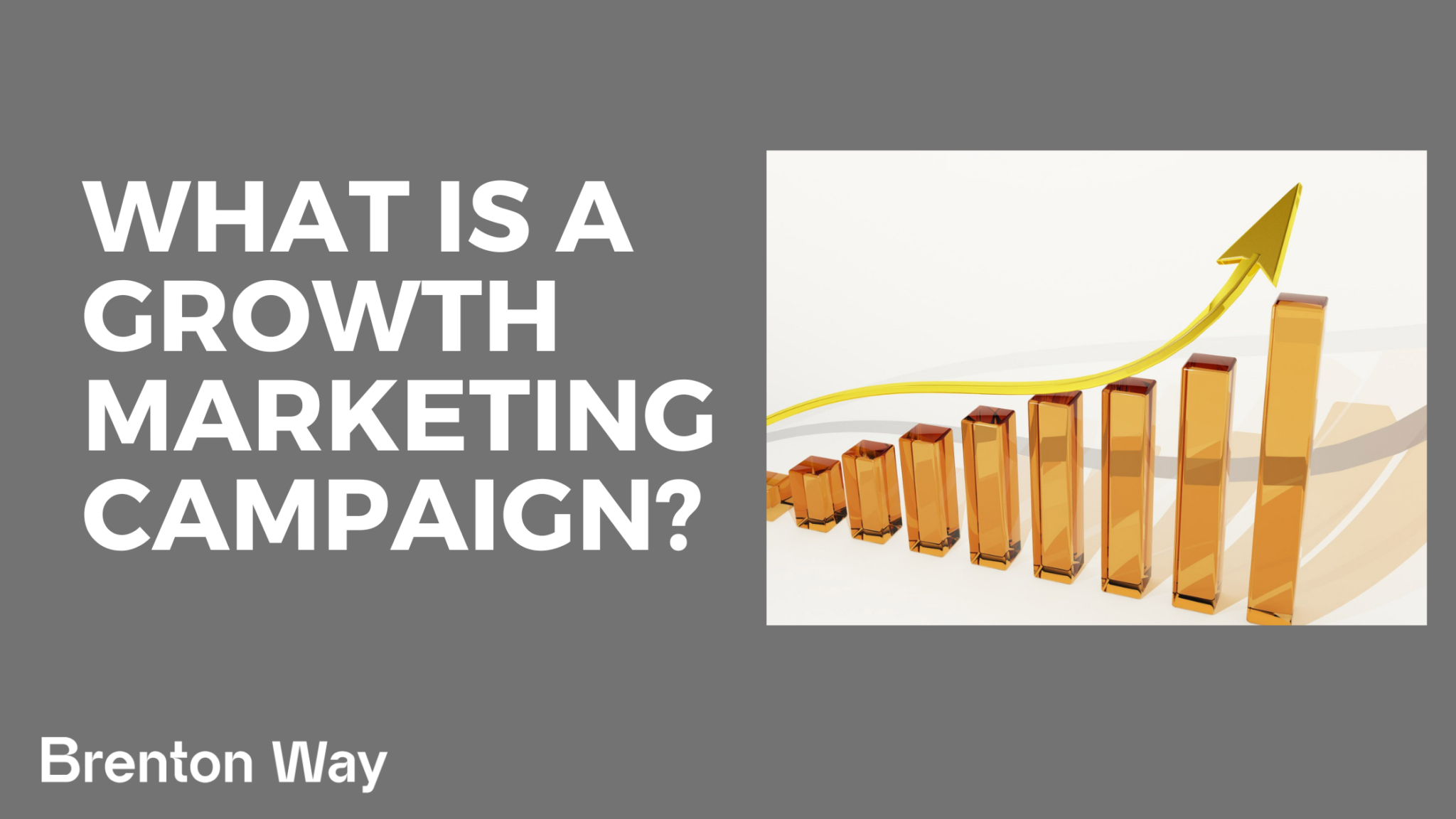 Best Growth Marketing Campaign Examples For Your Inspiration